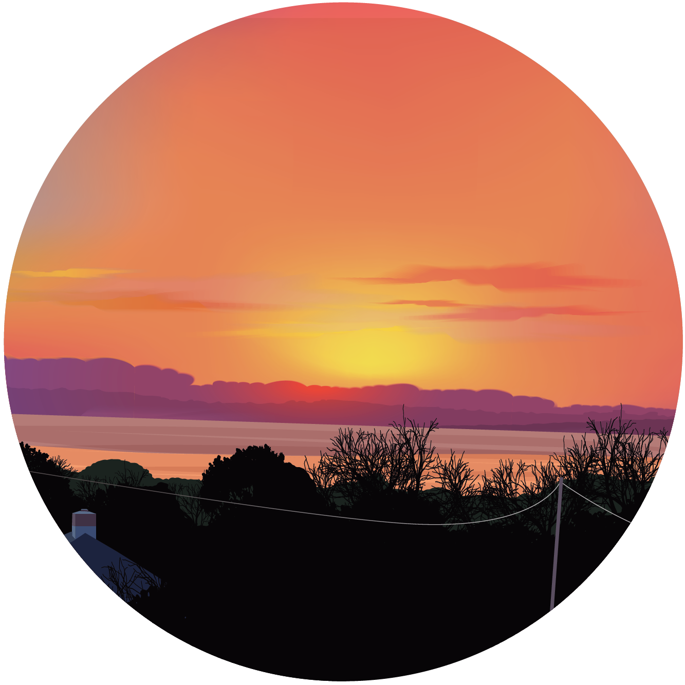 Richard Hopkins | Roxburgh Milkins